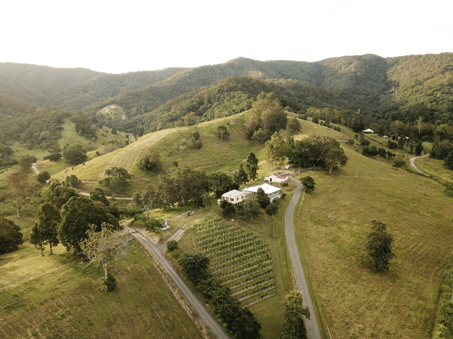 Top 10 Farm Stays Near Brisbane for Unique Escapes