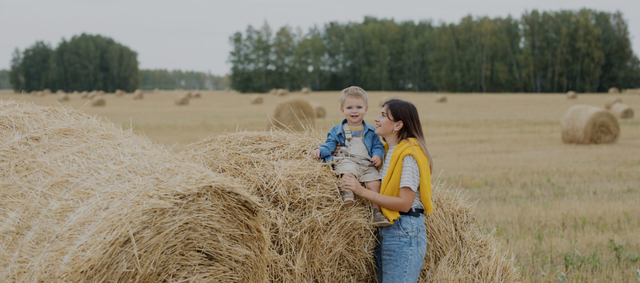 Top 10 Farm Stays Near Brisbane for Unique Escapes