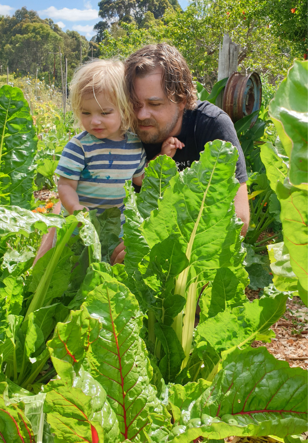 FARM STAY - BOOK Farm and Station Stays in Australia