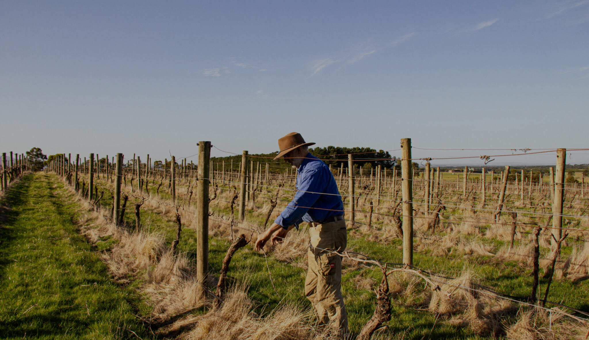 Explore Queensland Farm Stays: Your Authentic Rural Getaway