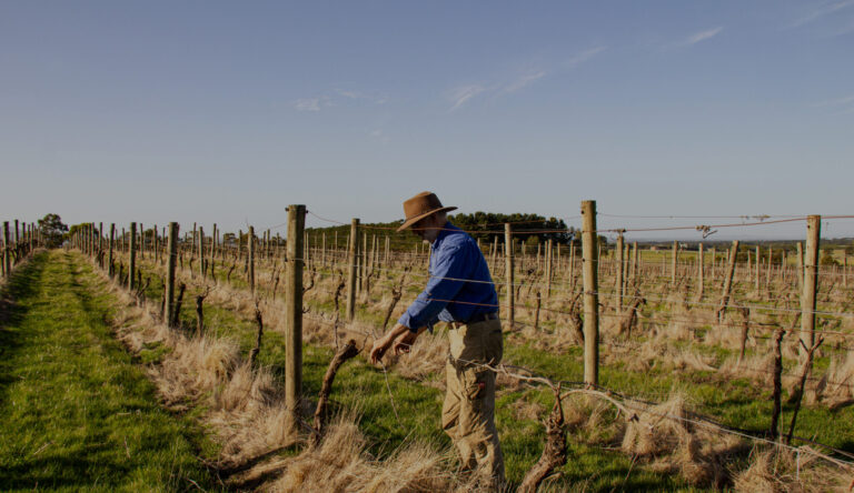 Explore Queensland Farm Stays: Your Authentic Rural Getaway