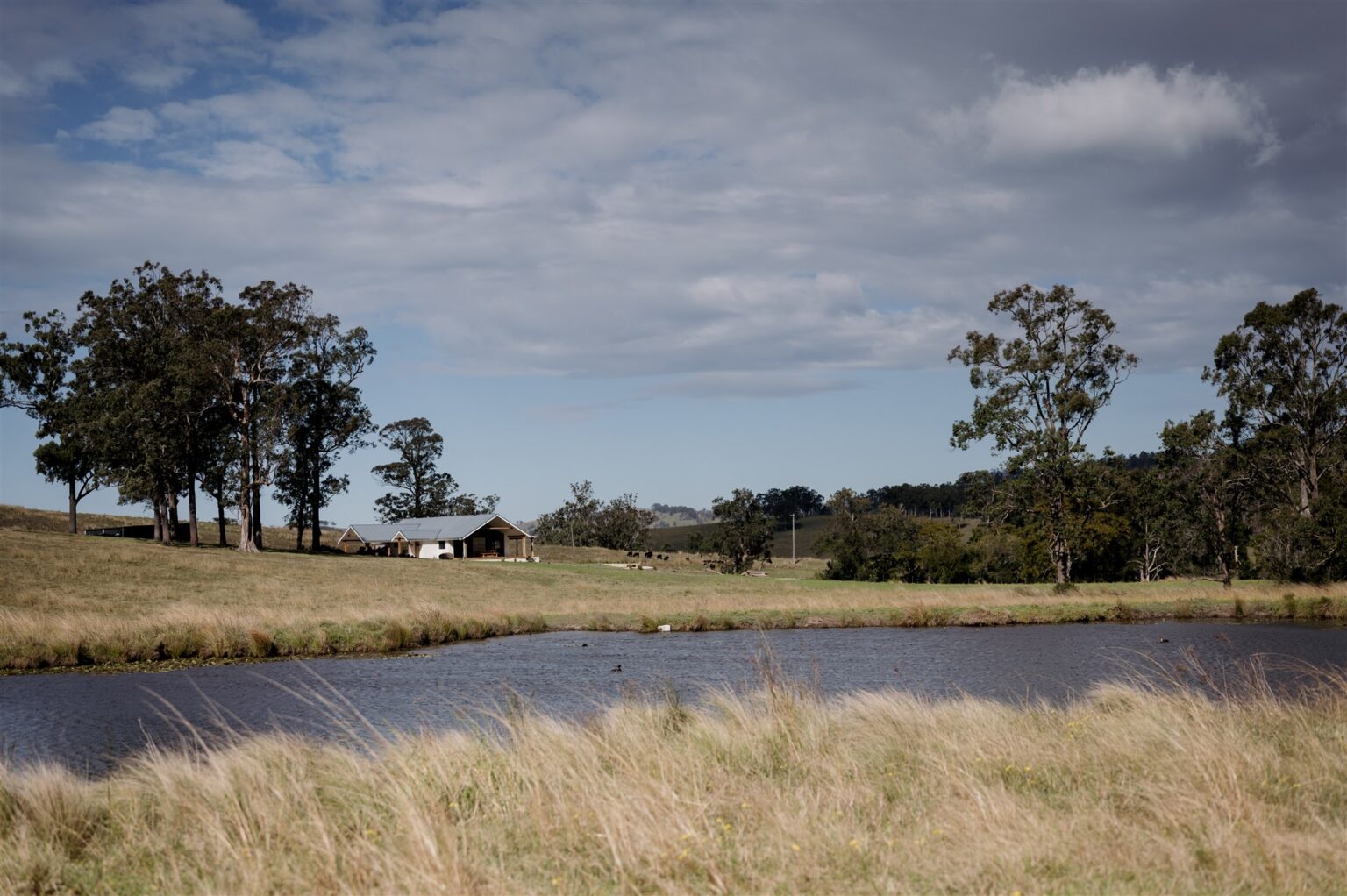 Explore Queensland Farm Stays: Your Authentic Rural Getaway