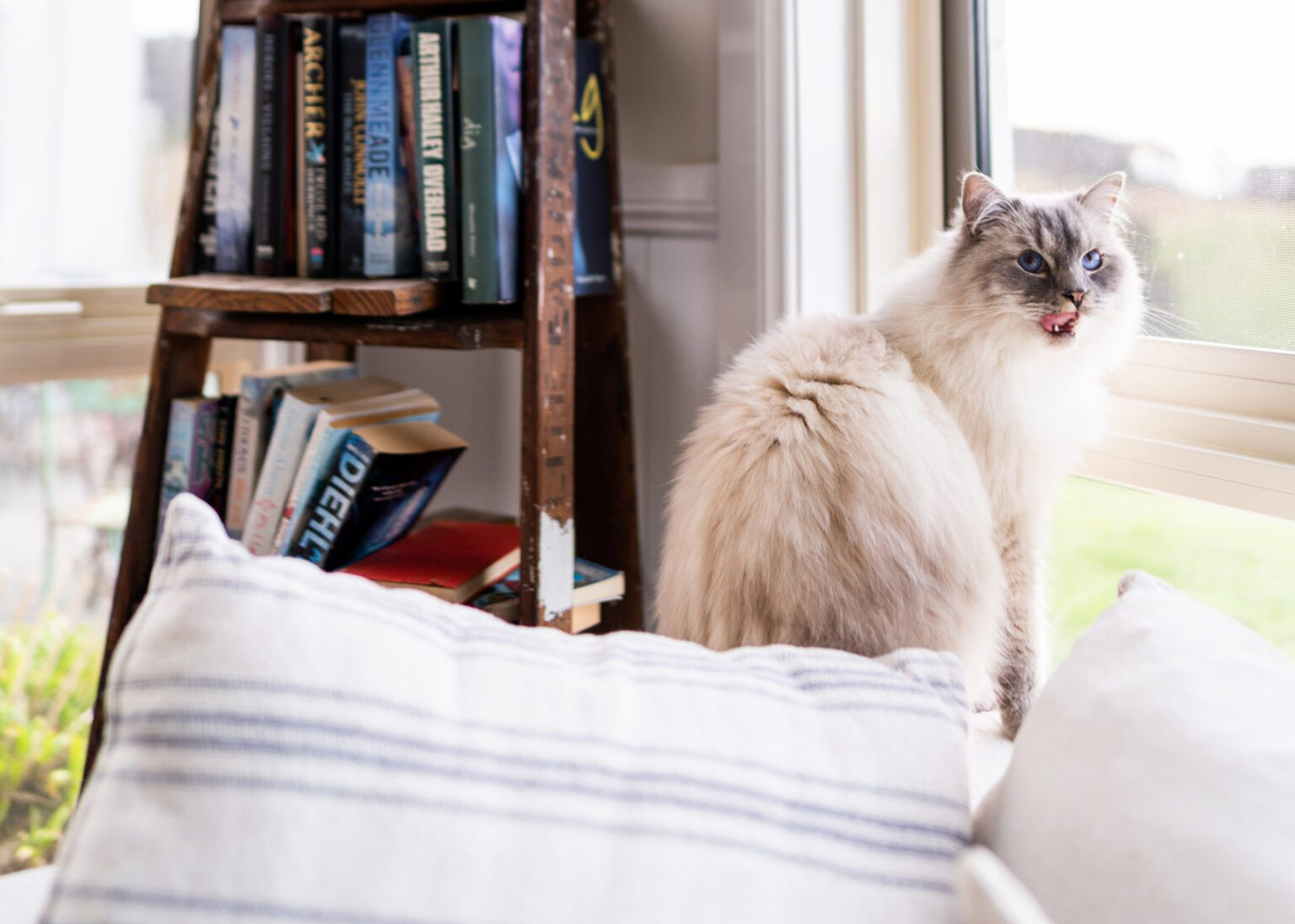 Explore Queensland Farm Stays: Your Authentic Rural Getaway